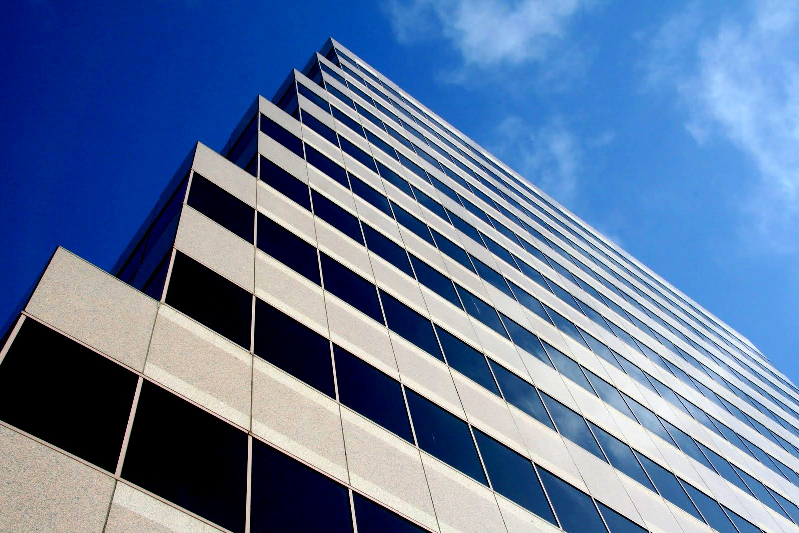 Insights – Audax Labs